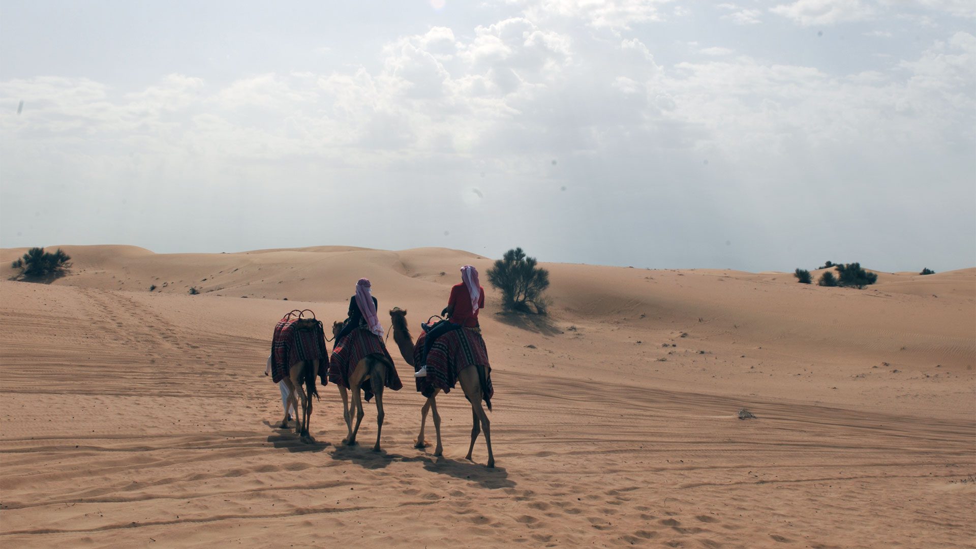 Critical Language Studies - Study Abroad 4711